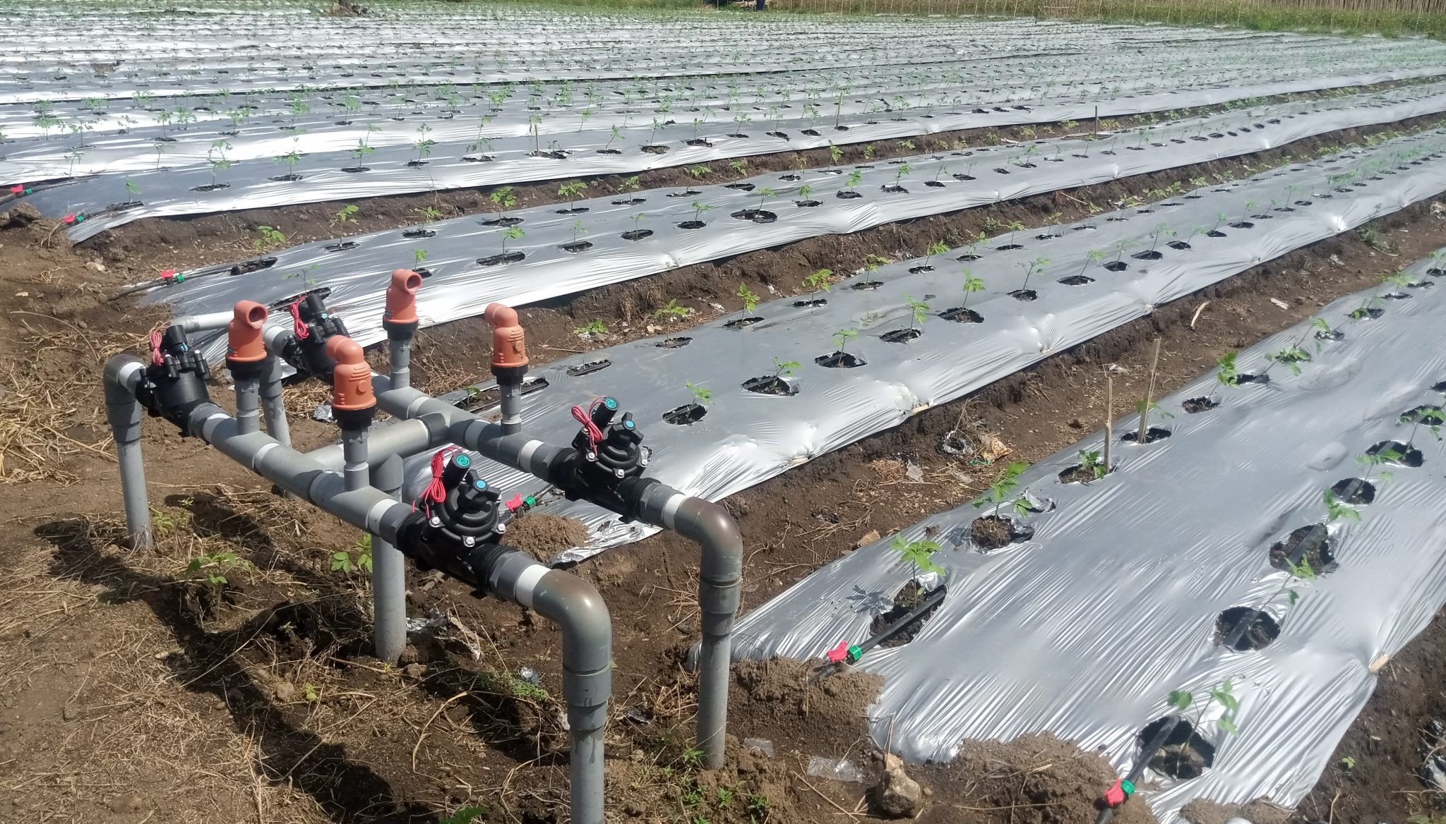 Sistem Irigasi Tetes, Teknologi Pengairan Pertanian Lahan Kering